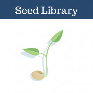 South Country Library – 22 Station Road, Bellport, NY 11713