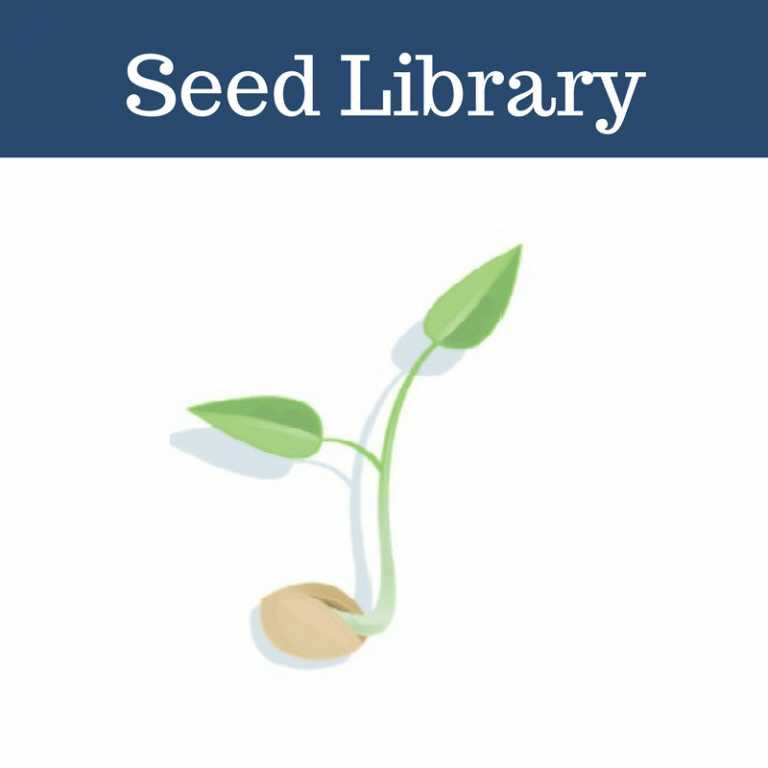 South Country Library – 22 Station Road, Bellport, NY 11713